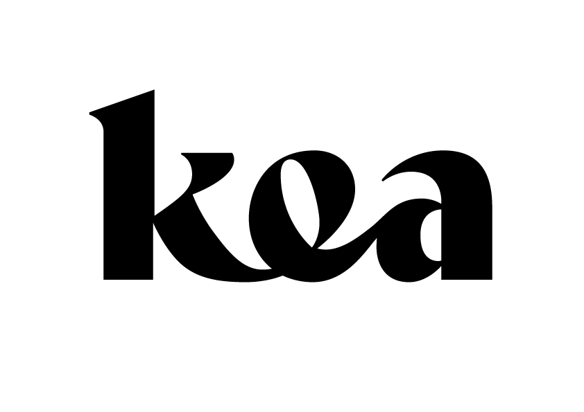 Connecting New Zealand With Global Opportunities About Us | Kea NZ