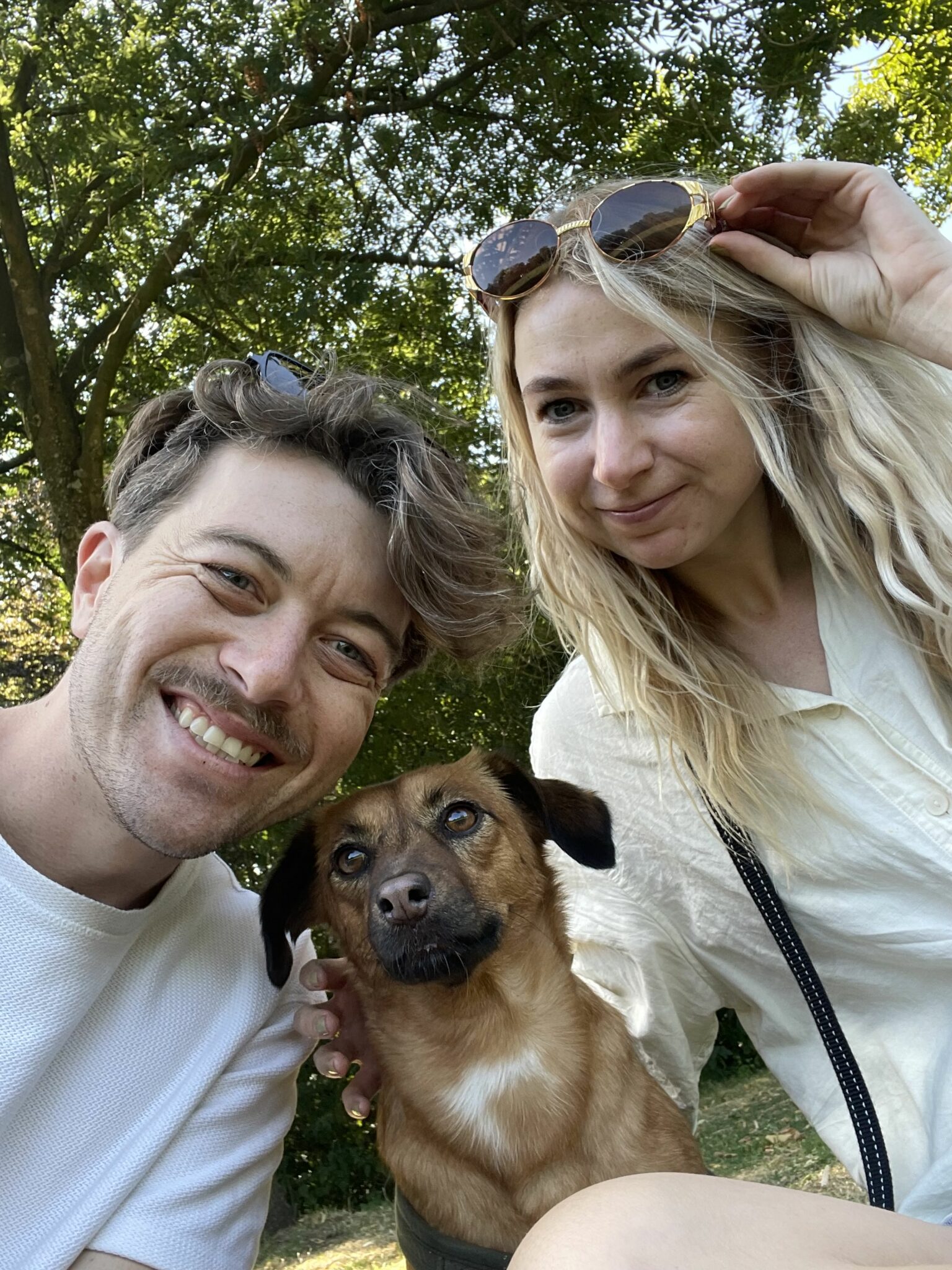 Voices of the Kea Community | Kea NZ